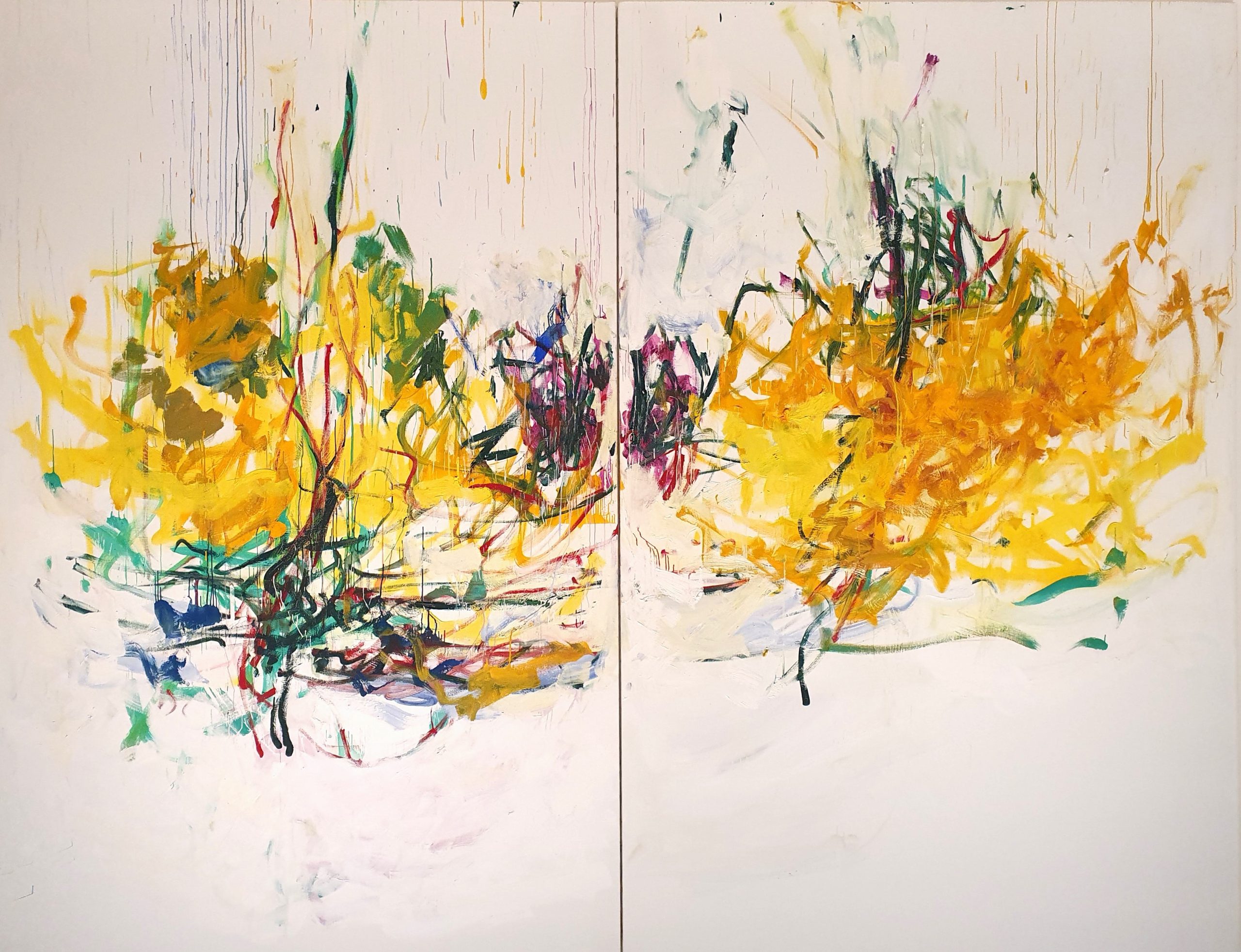 Claude Monet – Joan Mitchell in Paris – Gabriela Bardos